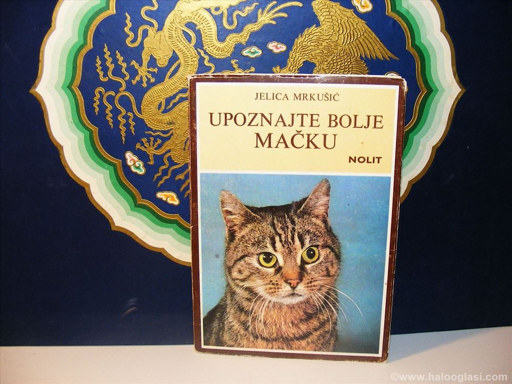 Upoznajte bolje mačku - Jelica Mrkušić | Halo Oglasi