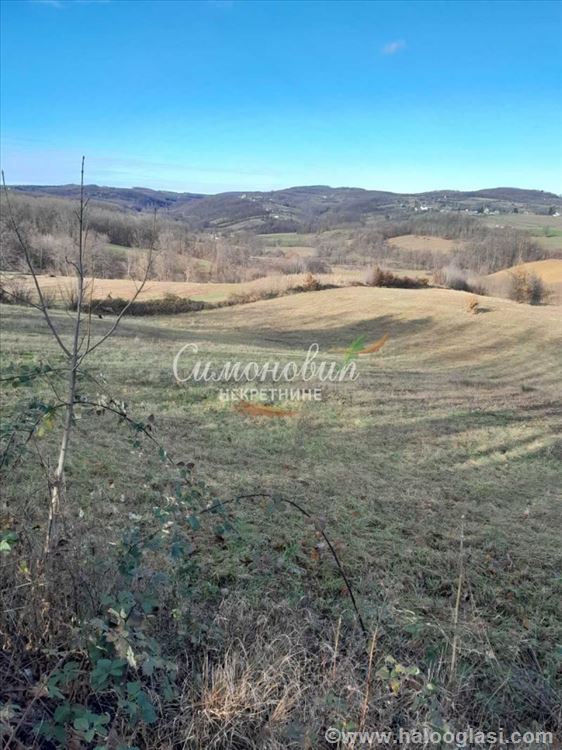 Valjevo, Kotešica, poljoprivredno zemlj, 260 ari,k | Halo Oglasi