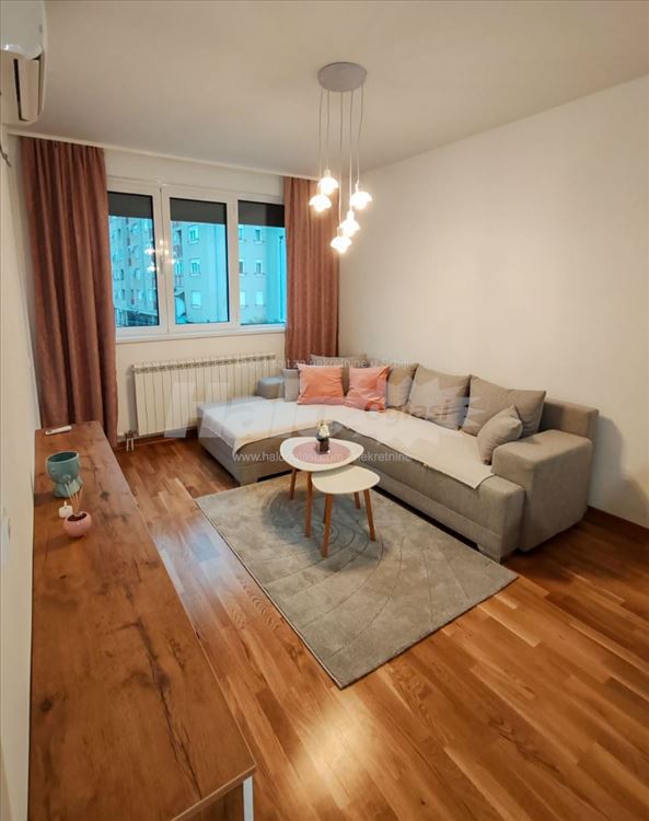 Top Stan - Prvi useljaj | Halo Oglasi