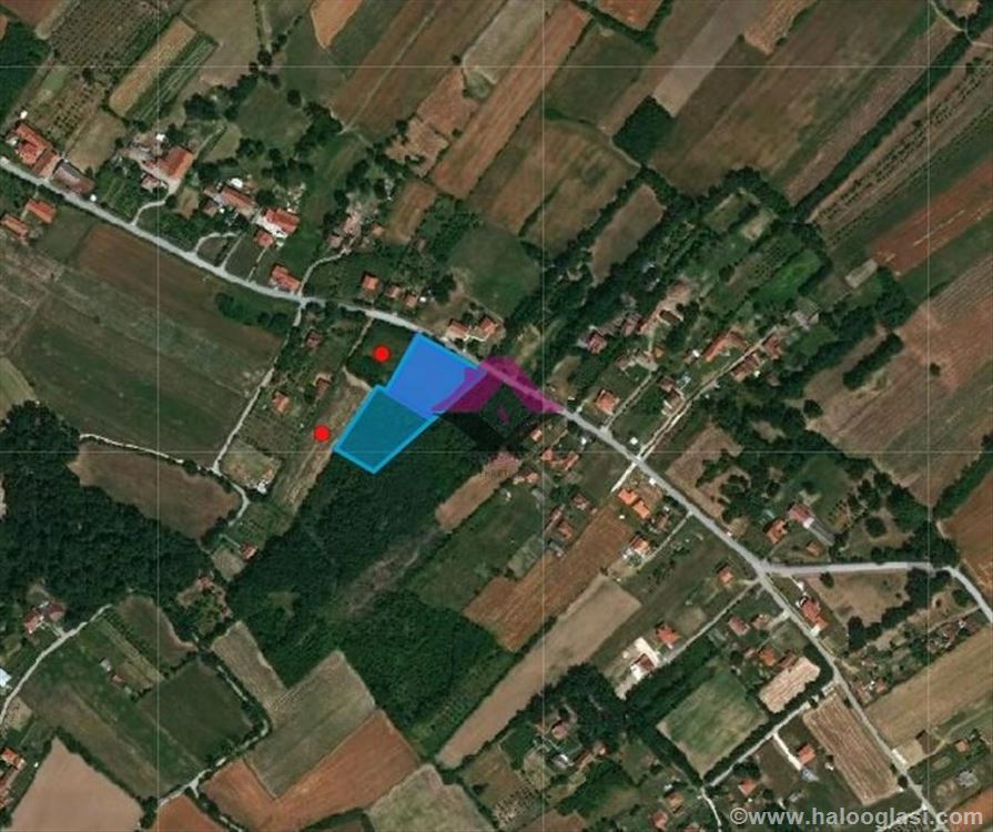 Velika Ivanča, dve parcele površine 62 ara, deljiv | Halo Oglasi