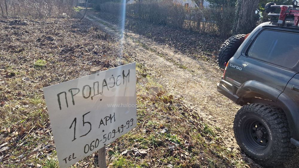 Avala, Tresnja | Halo Oglasi