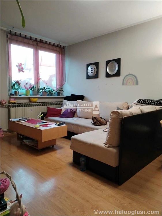 Labudovo brdo 2.5 stan 70m2 ID#1923 | Halo Oglasi