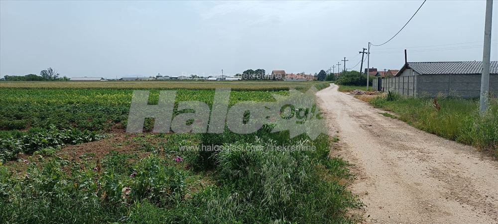 Surcin, Boljevci, hitno ekstra ponuda, 30a | Halo Oglasi