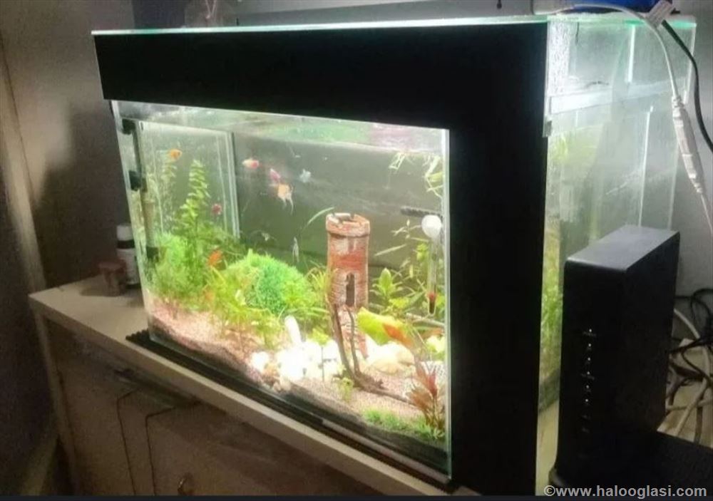 Akvarijum od 80L | Halo Oglasi