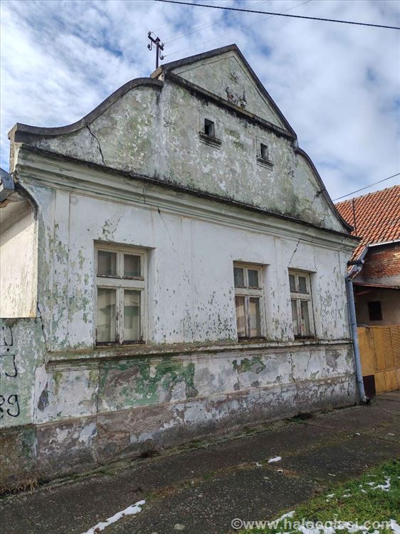 Novi Slankamen - 2 kuće+56 ari placa | Halo Oglasi