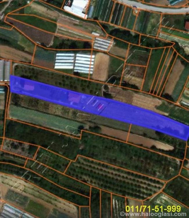 plac Slanci, 5 ari | Halo Oglasi