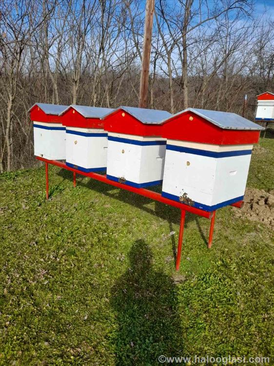 Matice i matičnjaci za 2025 godinu | Halo Oglasi