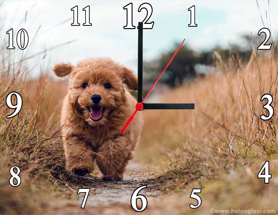 Kucni ljubimci zidni sat | Halo Oglasi
