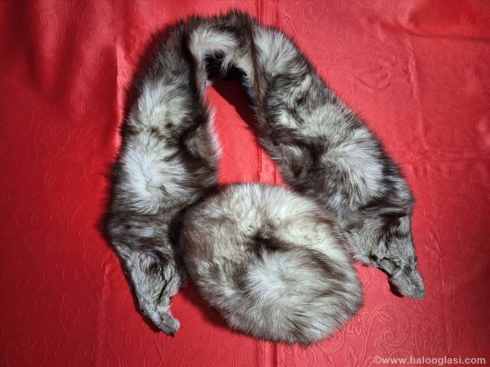 Okovratnik i šubara od polarne lisice | Halo Oglasi