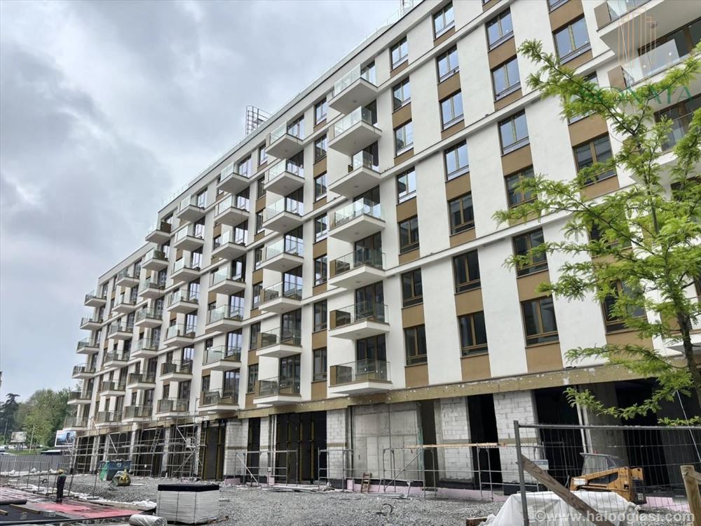 Bw Echo, Beograd Na Vodi Avgust 2025 | Halo Oglasi