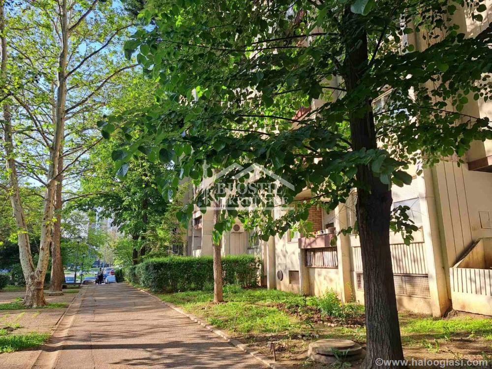 Novi Beograd - Blok 63 - 3.0 ID#24179 | Halo Oglasi