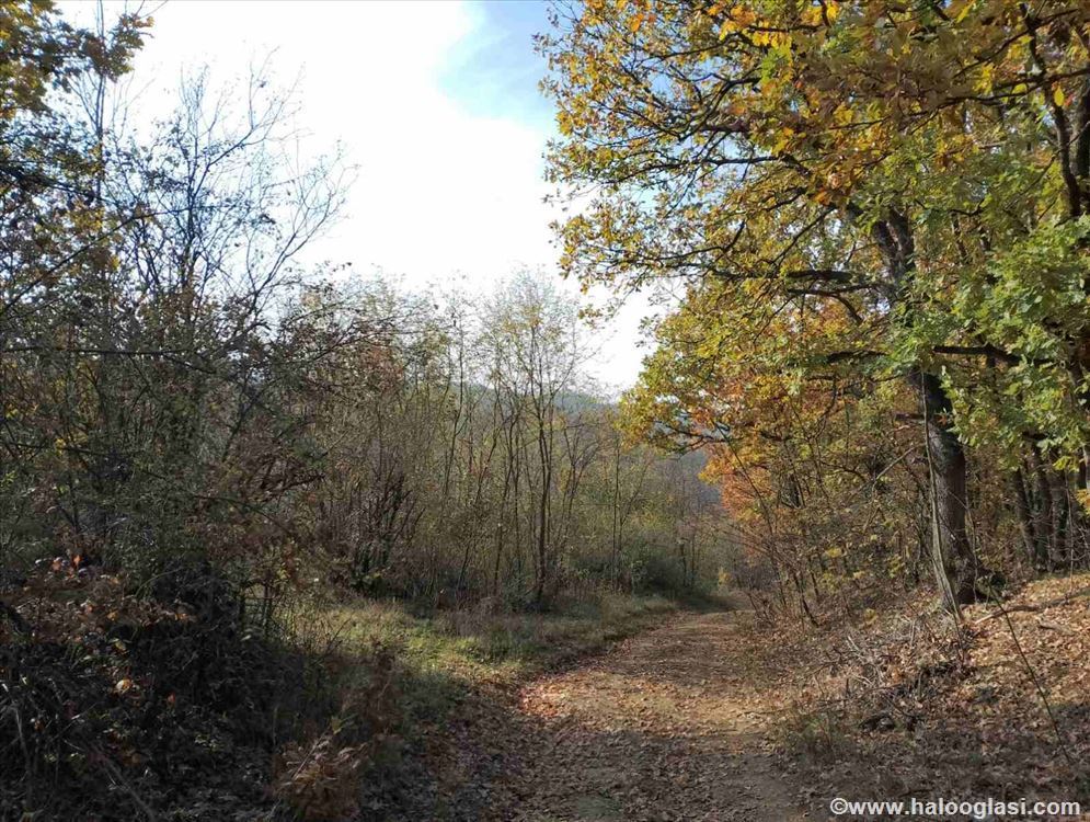 Hitna prodaja, Barajevo, Glumcevo brdo gradj.71ar | Halo Oglasi