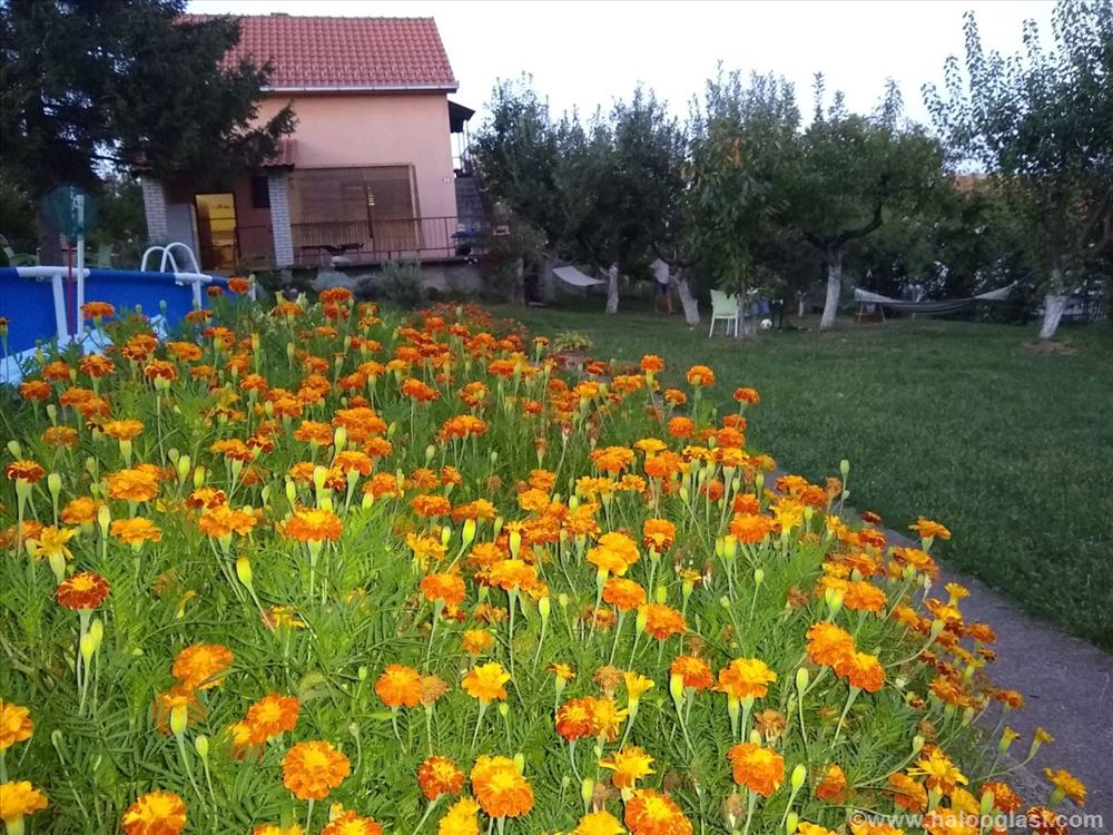 Bacevac , kuća za odmor | Halo Oglasi