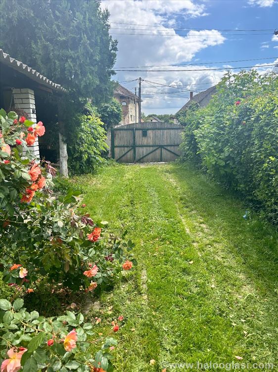 Kuca u centru Boljevaca | Halo Oglasi
