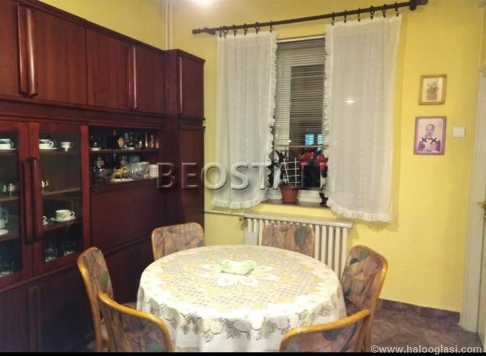 Centar - Lion #62422 | Halo Oglasi