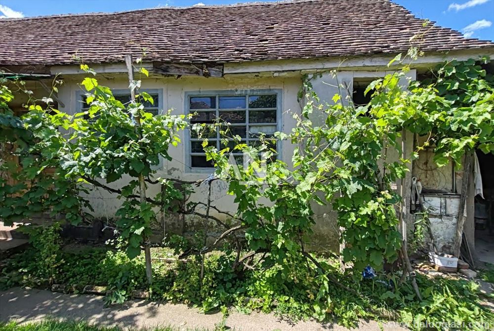 Dobanovci, Centar, Lole Ribara ID#20027 | Halo Oglasi