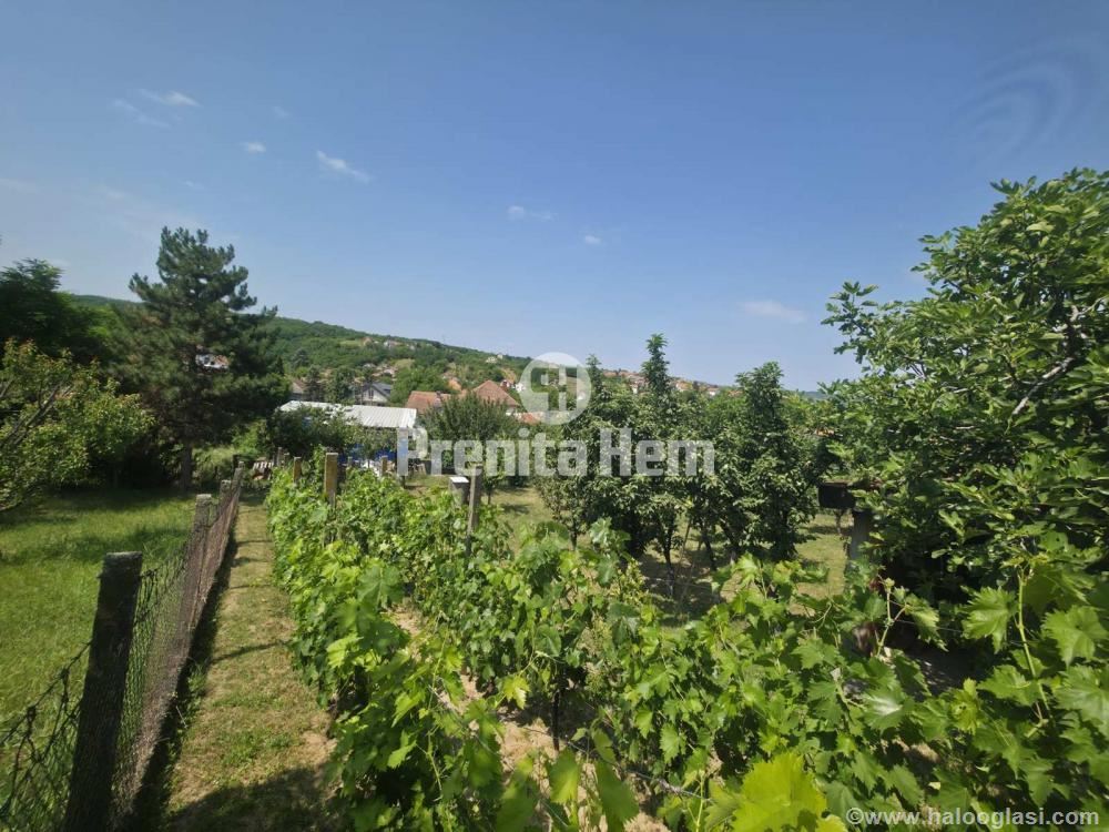 Boleč, 128 m2, pr+I, 7,18 ari ID#1432 | Halo Oglasi