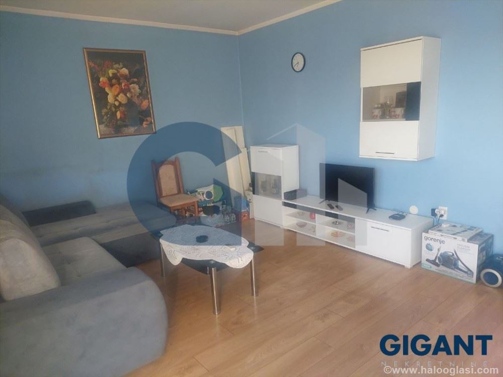 Borča, 75m2, V, cg | Halo Oglasi