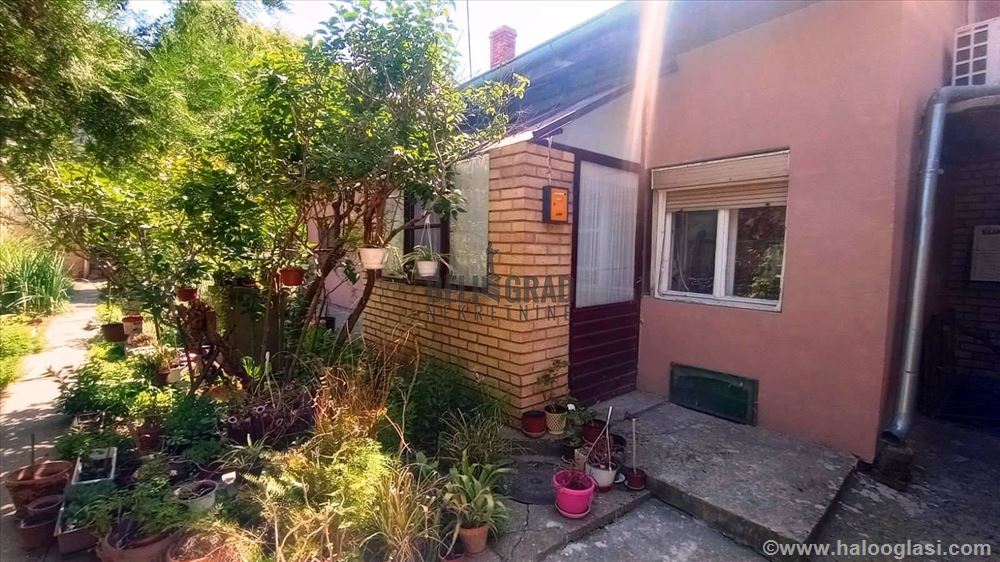 Kućica u cveću u centru Pančeva | Halo Oglasi