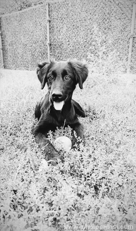 NA POKLON: Prelepi dečko | Halo Oglasi