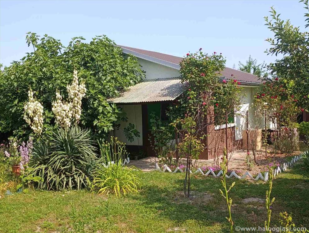 Banstol vikendica 56m2 Hitno! | Halo Oglasi