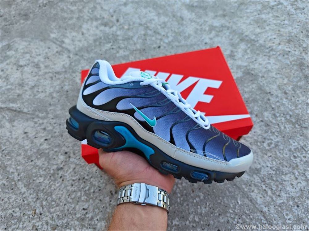 Nike Air Max Plus TN One Block Down Matte Silver | Halo Oglasi