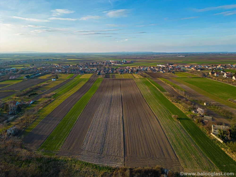 Stara Pazova, Belegiš, Zemljište, 14135m2 | Halo Oglasi