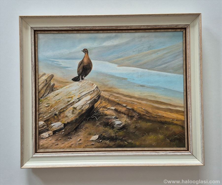 Ulje na platnu - Fazan, prelepa slika! | Halo Oglasi