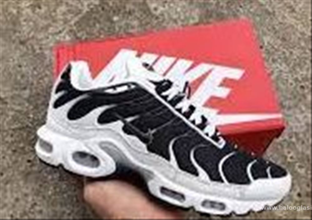 Nike Air Max Plus TN Killer Whales | Halo Oglasi