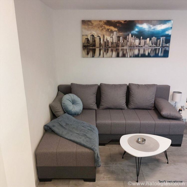 Zemun centar, renoviran, namešten, 1.5, 33m2 | Halo Oglasi