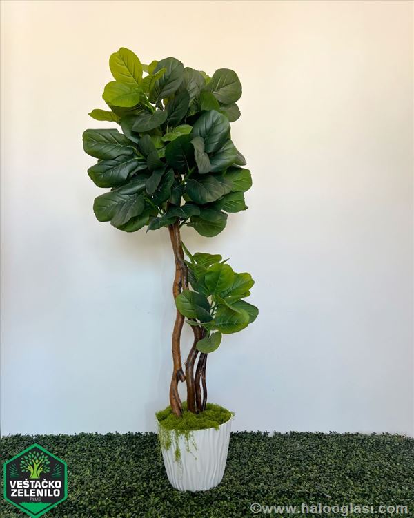 Fikus - Veštačka biljka | Halo Oglasi