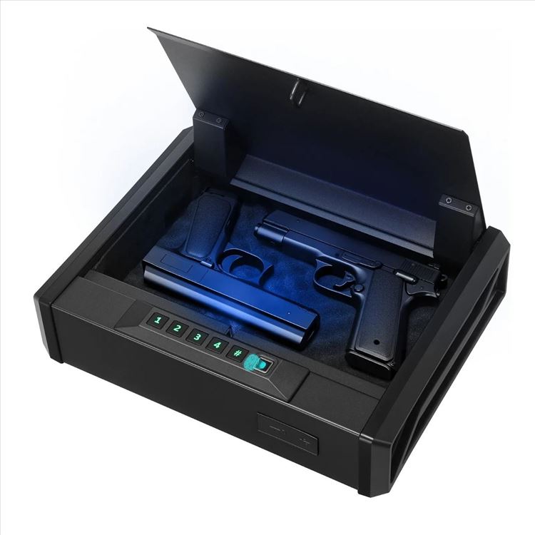 Sef Za Pistolj Sigurna Kutija Za 2 Pistolja | Halo Oglasi