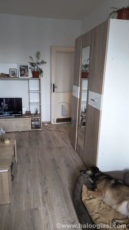 Pet friendly, Blok 8a, terasa, 38m2 | Halo Oglasi